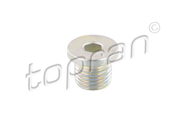 OIL DRAIN PLUG | N0160276 — Harrys Euro